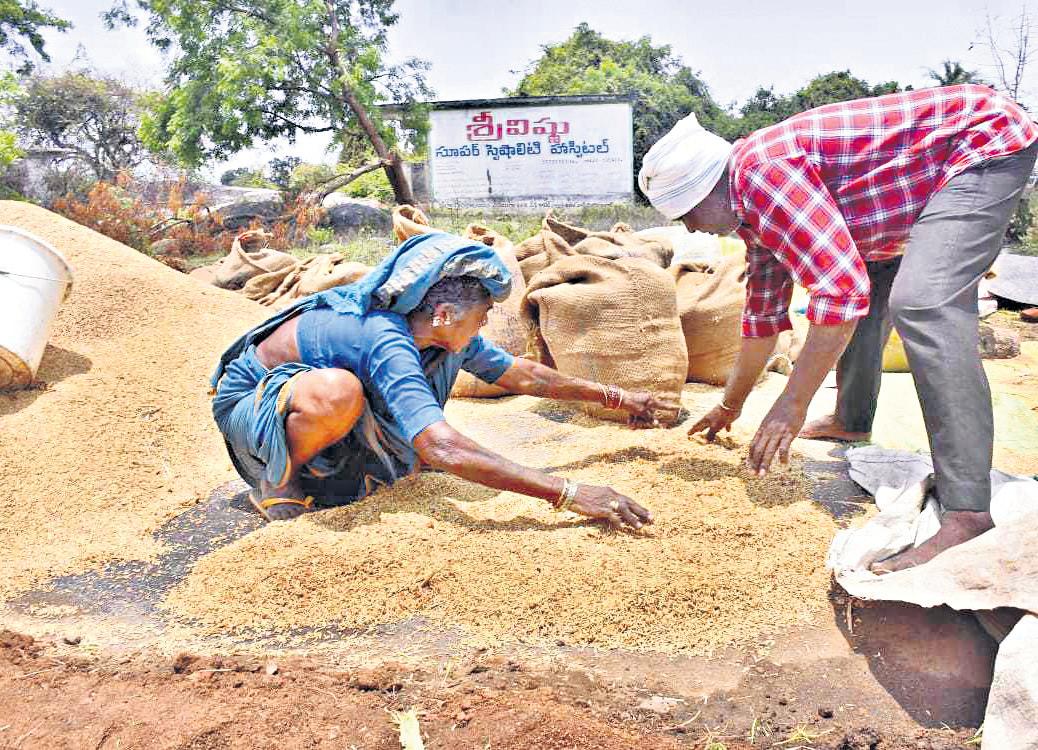 Farmers await full survey of crop loss | Telangana Today - Hyderabad ...