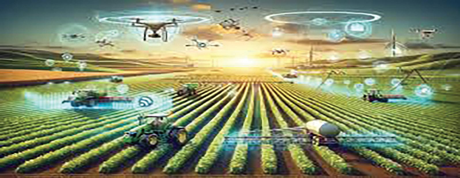 Grain sector: Balancing production growth with tech advancement | Food ...