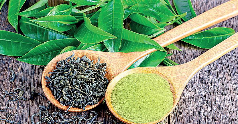 Colombo Tea Auction sees highest offerings since May 2023 | Daily ...