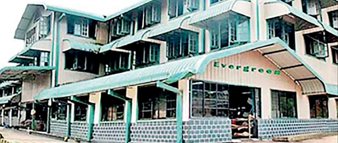 Evergreen Group emerges as largest tea producing private group | Daily ...