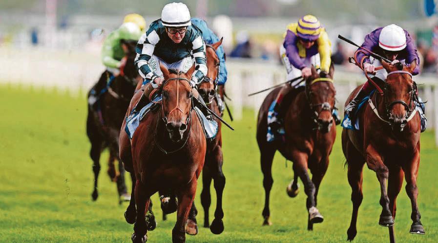 Thyer should be straighter for promising seasonal debut | Cambridge ...