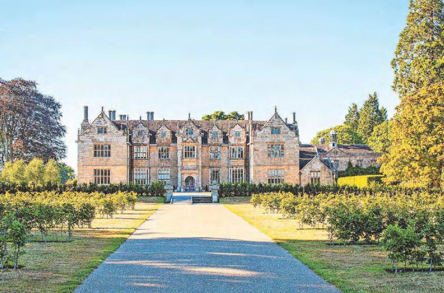 Wakehurst welcomes visitors back after 2-year restoration | Kent and ...