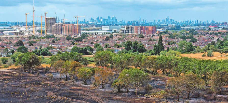 Fire crews faced nearly 27,000 wildfires in spring and summer | Bristol ...