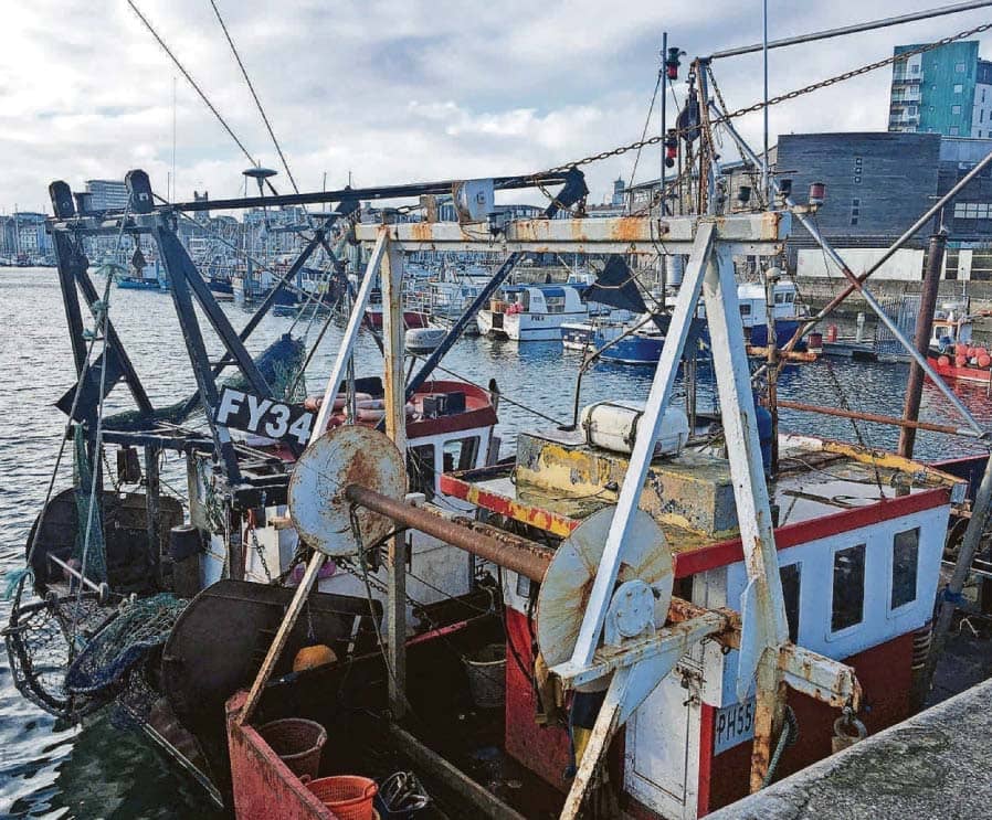 Fisherman's dead bass video sparks hot debate | The Herald - Newspaper ...