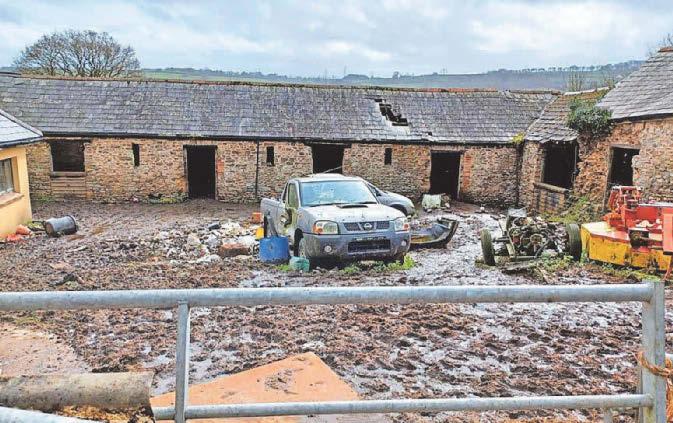 Farmer gets livestock ban over welfare conditions | Western Morning ...