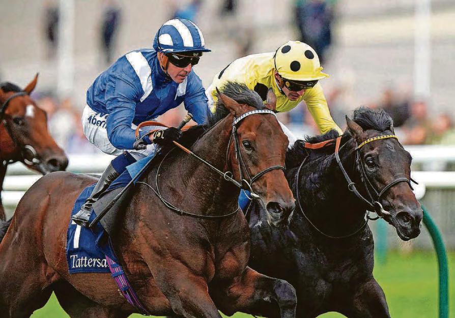 Alyanaabi to the John Of Gaunt Stakes at Haydock | Liverpool Echo ...