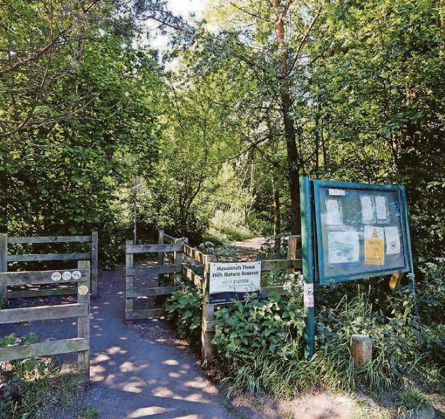 COUNCIL BACKS CONTROVERSIAL PLANS FOR NEW SCHOOL PATH THROUGH NATURE ...