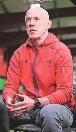 Tandy will call up players to face Boks | South Wales Evening Post ...