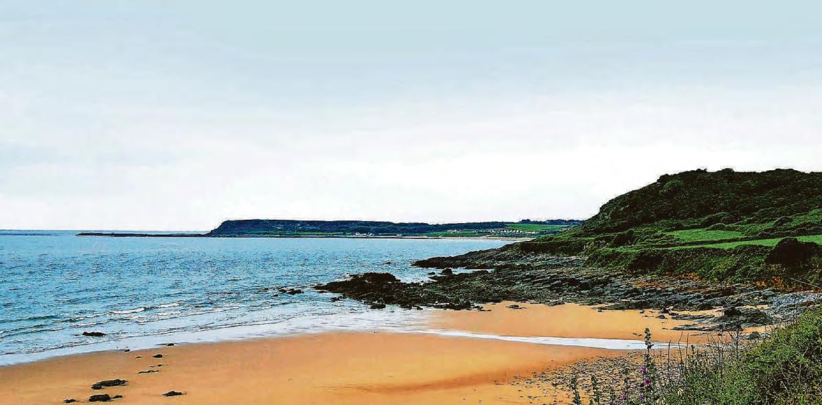 Appeal to identify body of man washed ashore | Western Mail - newspaper ...