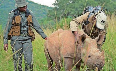 Attenborough 'inspiration' for William's wildlife ranger series ...