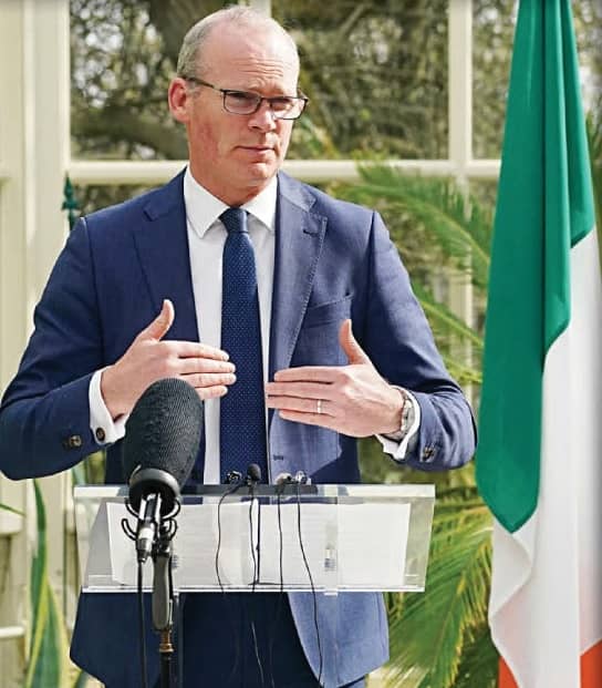 Coveney slams UK border check plans | Irish Daily Mirror - Newspaper ...