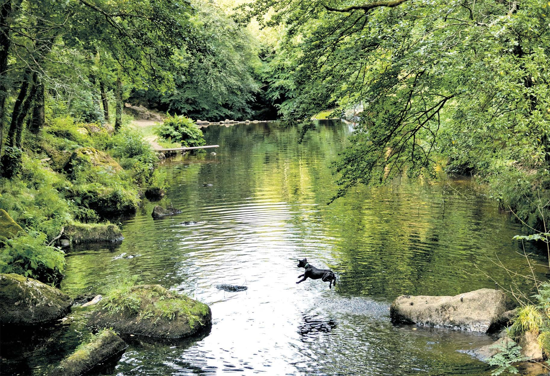 Public invited to monitor local rivers to gauge scale of pollution