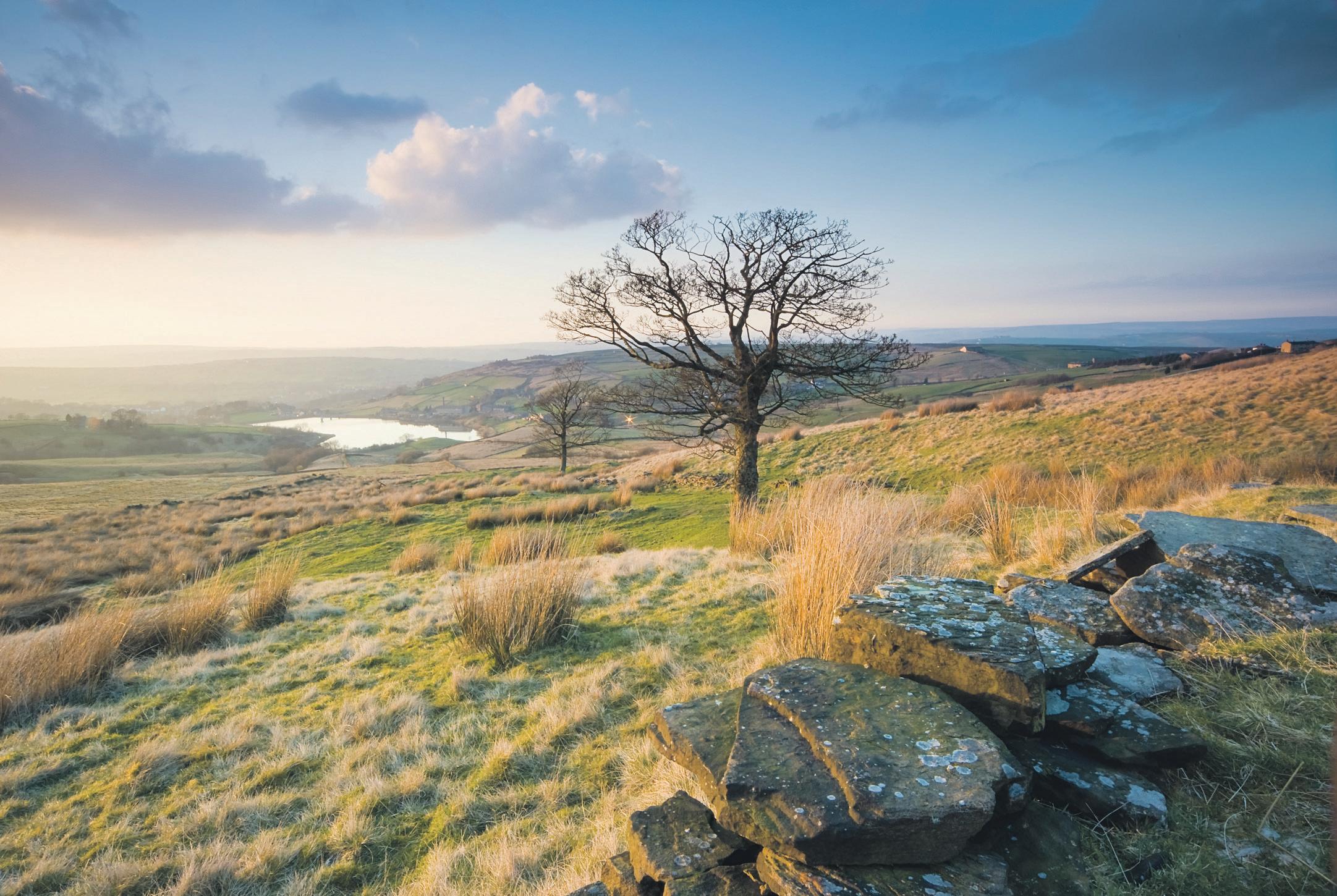 Brontë Country to Become a Huge National Nature Reserve | The Guardian ...
