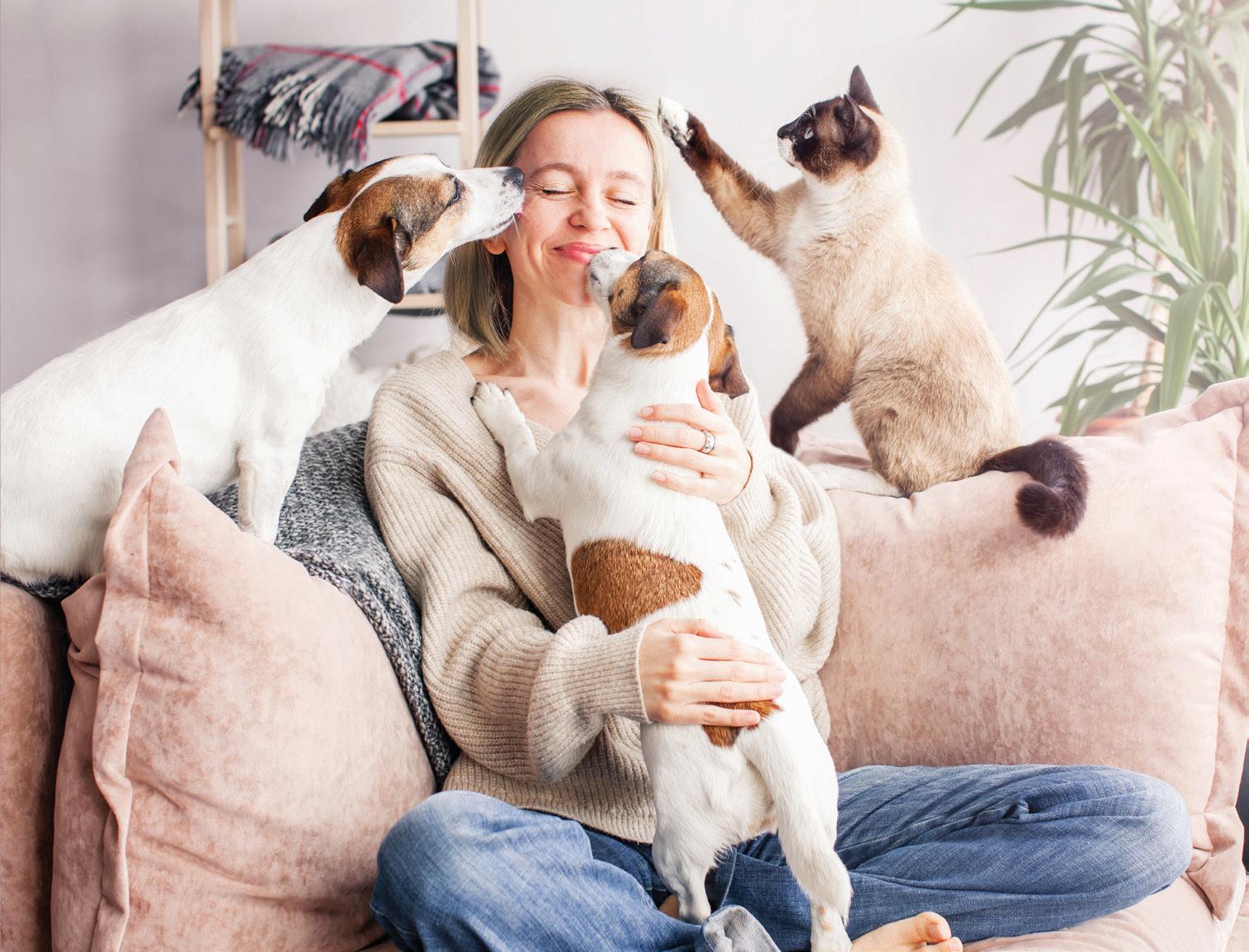 Fur moms and pet-friendly living: What do pet parents want in a home ...