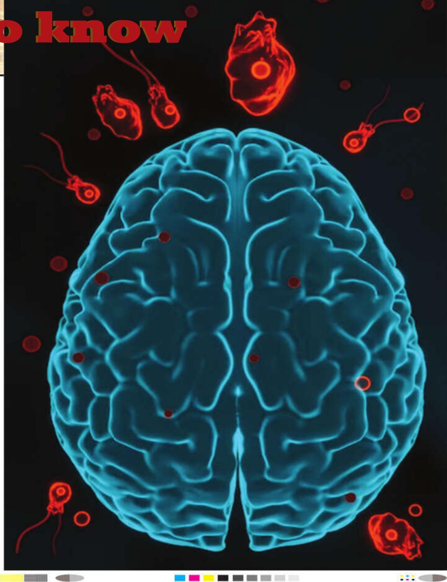A deadly brain-eating amoeba lurks in freshwater - here's what you need ...