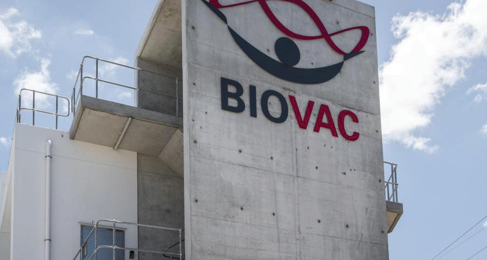 Biovac to manufacture life-saving pneumonia vaccine for Africa | Cape ...