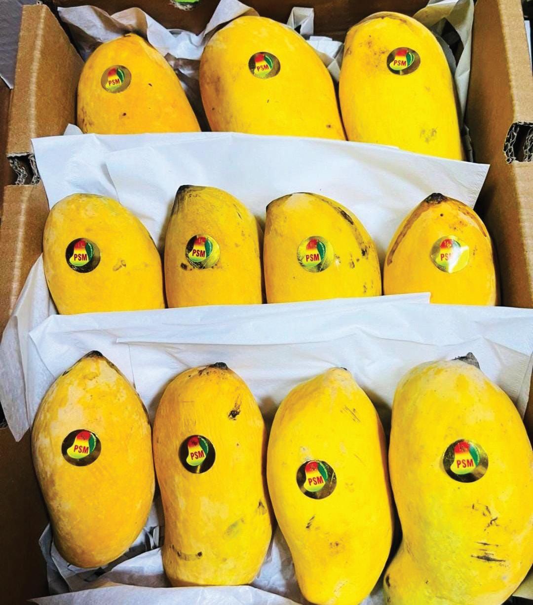 Mango wars: How summer turns fierce and fruity in the UAE | Khaleej ...