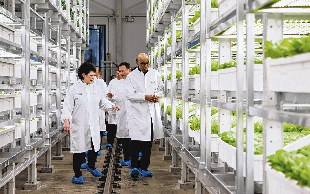 World's tallest indoor vertical farm, costing $80m, opens in Jurong ...