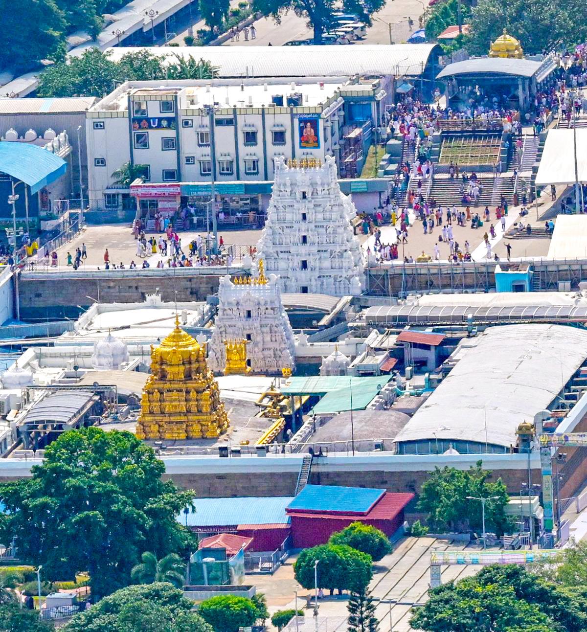 TTD TRUST BOARD DECIDES TO INCREASE GREEN COVER IN TIRUMALA TO 80% ...