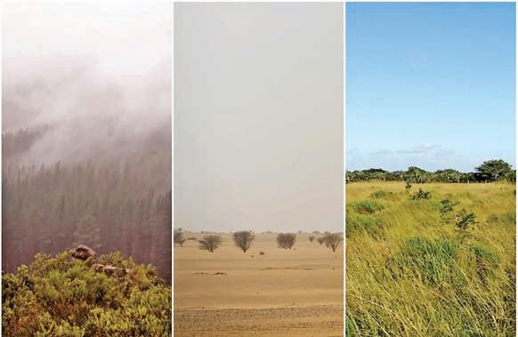 How early humans endured extreme environments | Ahmedabad Mirror ...
