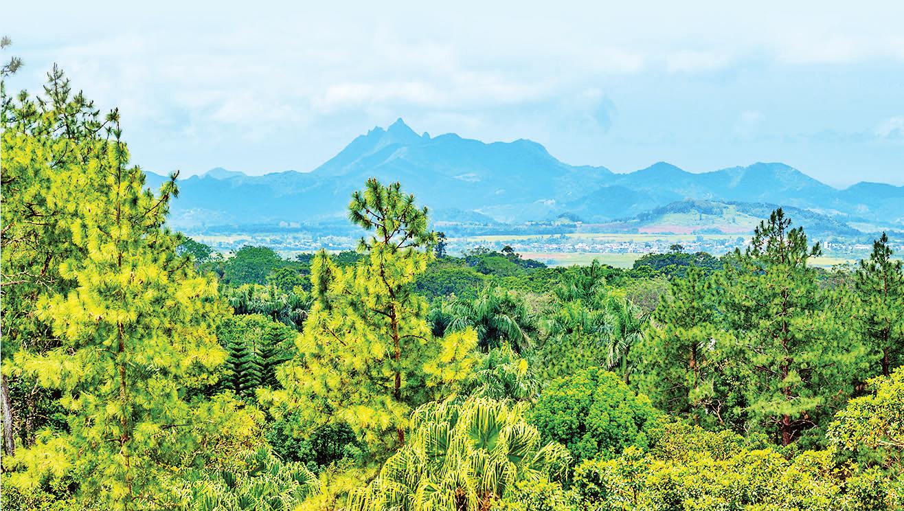 African 'carbon sink' forests are now carbon source | Ahmedabad Mirror ...