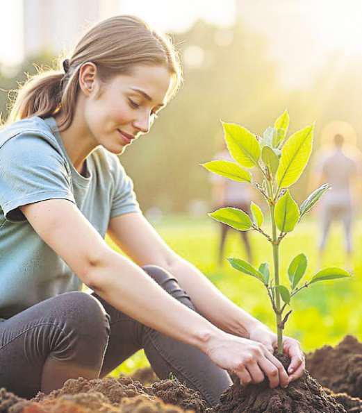 How planting trees can help to save the planet | Shields Gazette ...
