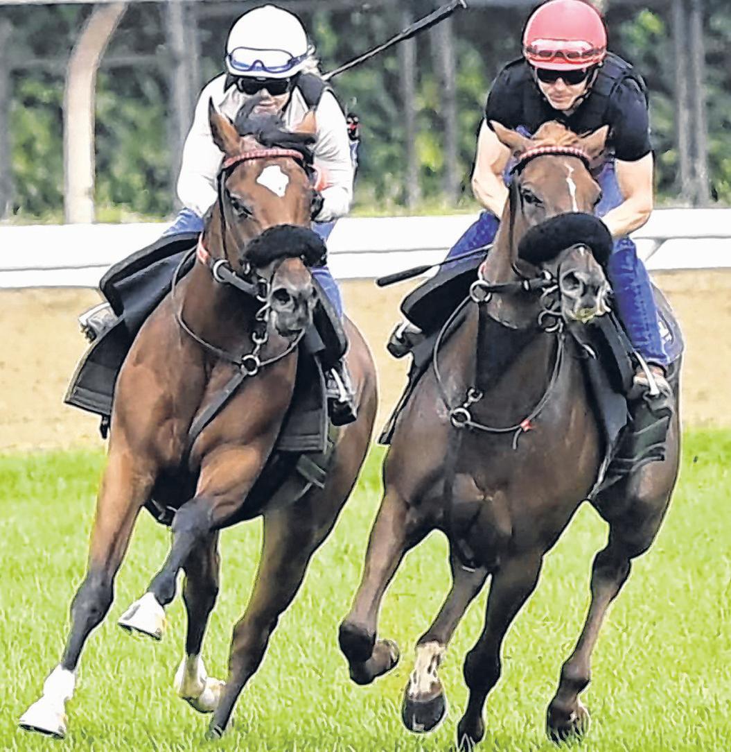 When These Jockeys Are Racing, Saddle Up for Family Drama | The Wall ...