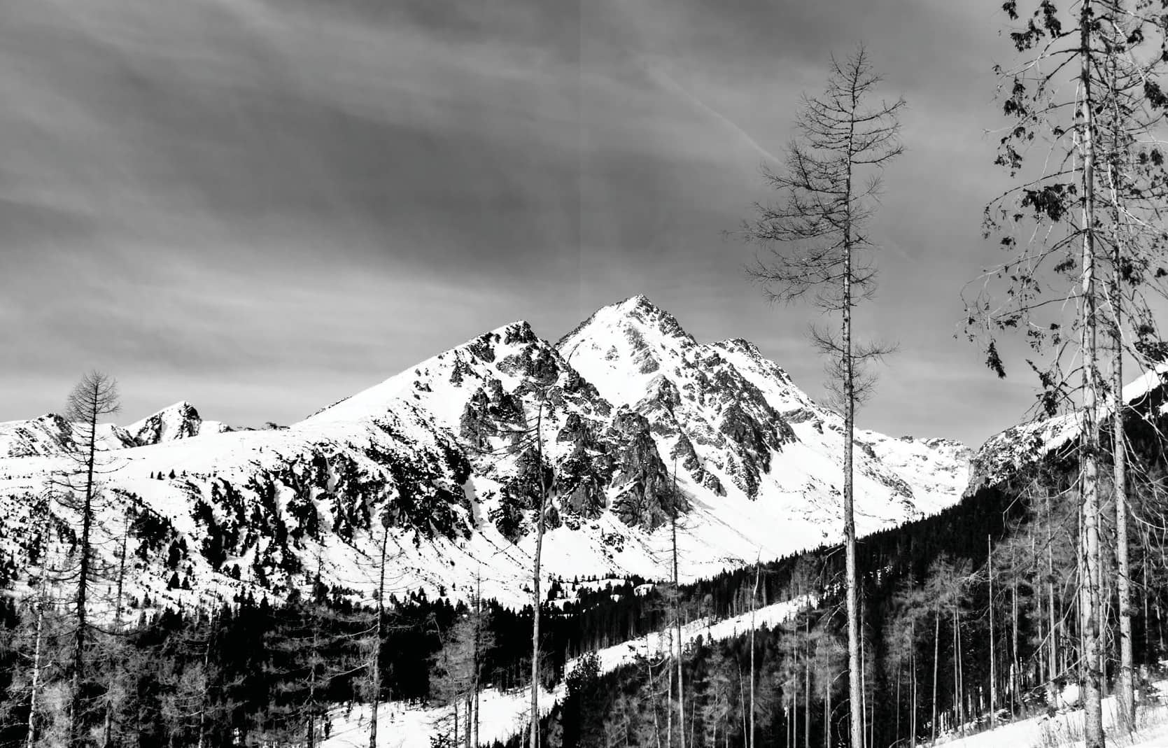 Guide To High Contrast Photography | Asian Photography - photography ...