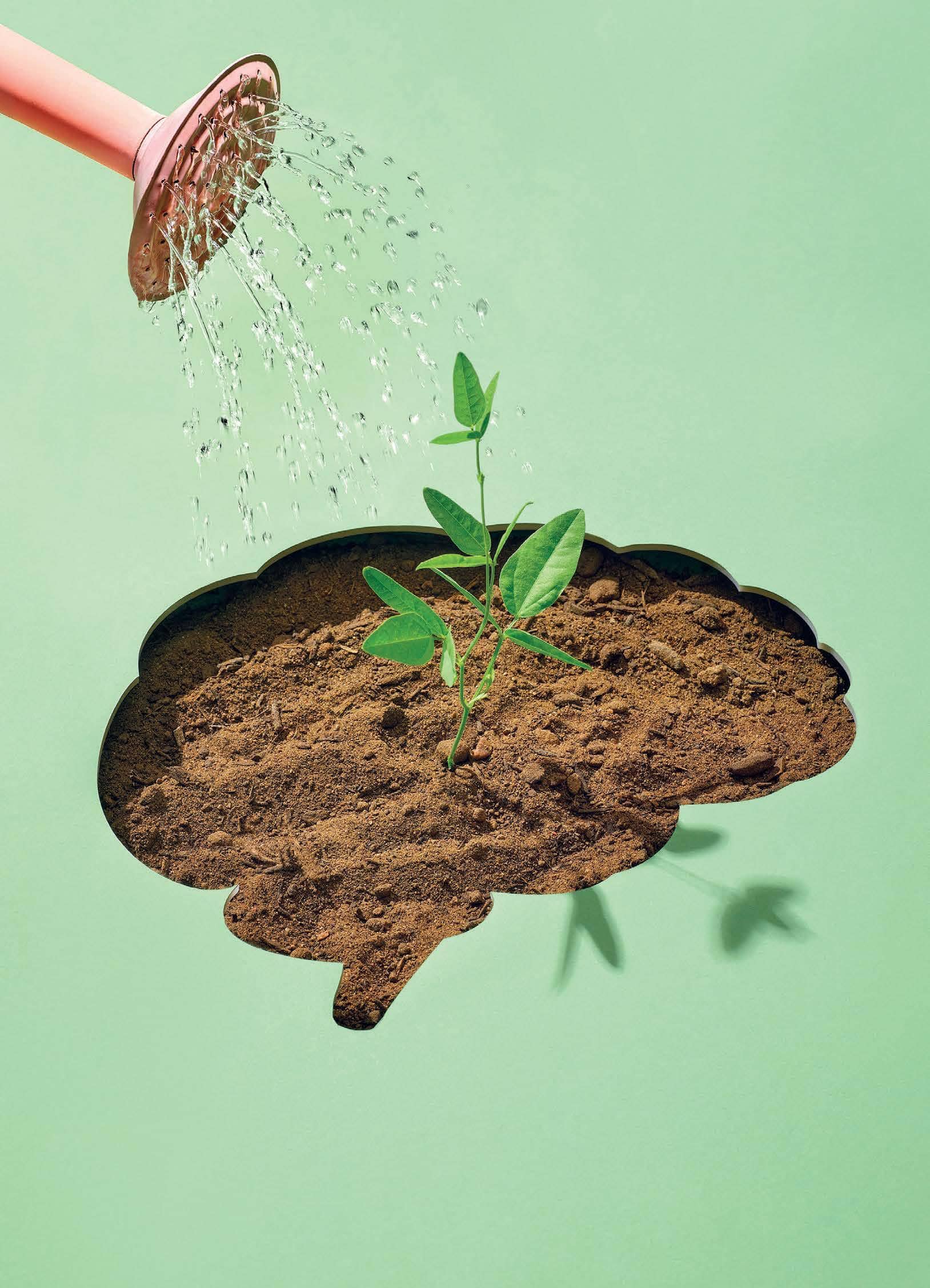 How To Build A Better Brain | Reader's Digest India - Lifestyle - Read ...